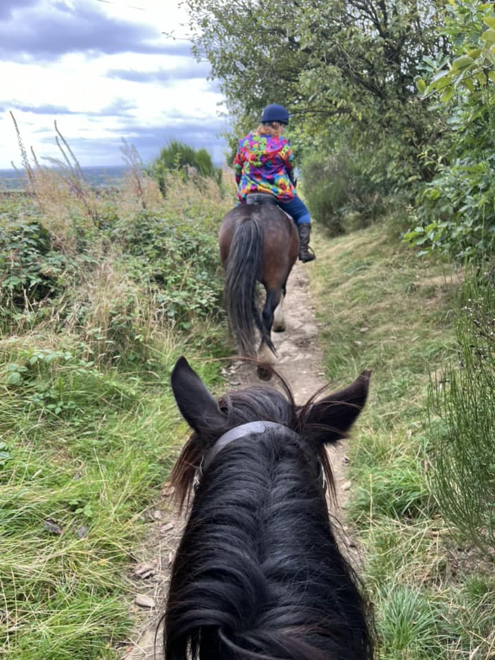 Complex Case Management – Complex Case Management offers a bespoke case ...